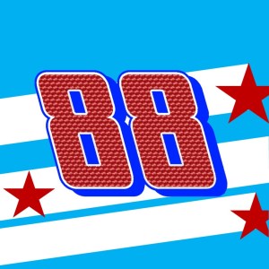 2017 DALE EARNHARDT JR. CUP NUMBER CARDS