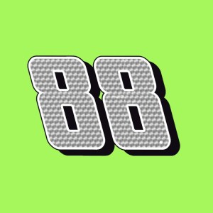 2017 DALE EARNHARDT JR. CUP NUMBER CARDS