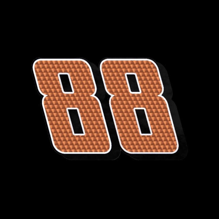 2017 DALE EARNHARDT JR. CUP NUMBER CARDS