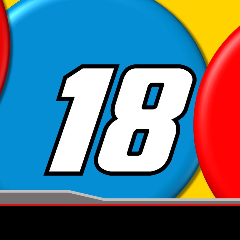 2022 KYLE BUSCH CUP NUMBER CARDS