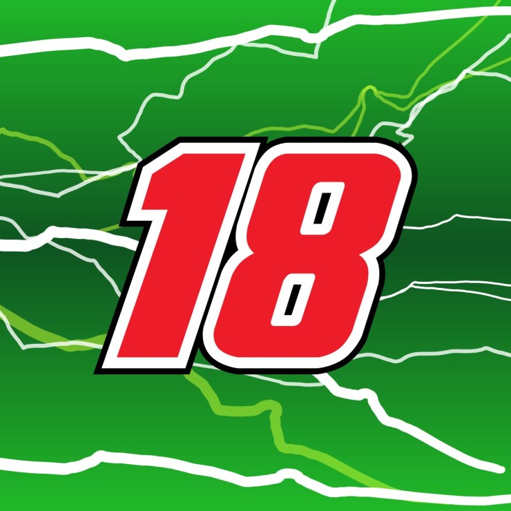 2022 KYLE BUSCH CUP NUMBER CARDS