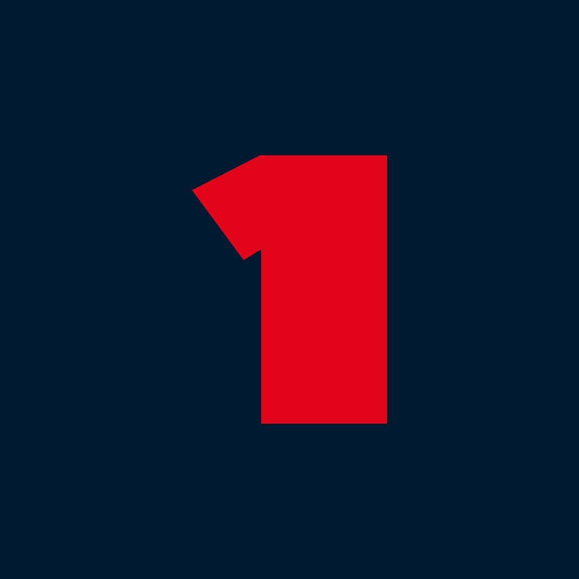 2024 MAX VERSTAPPEN FORMULA 1 NUMBER CARDS