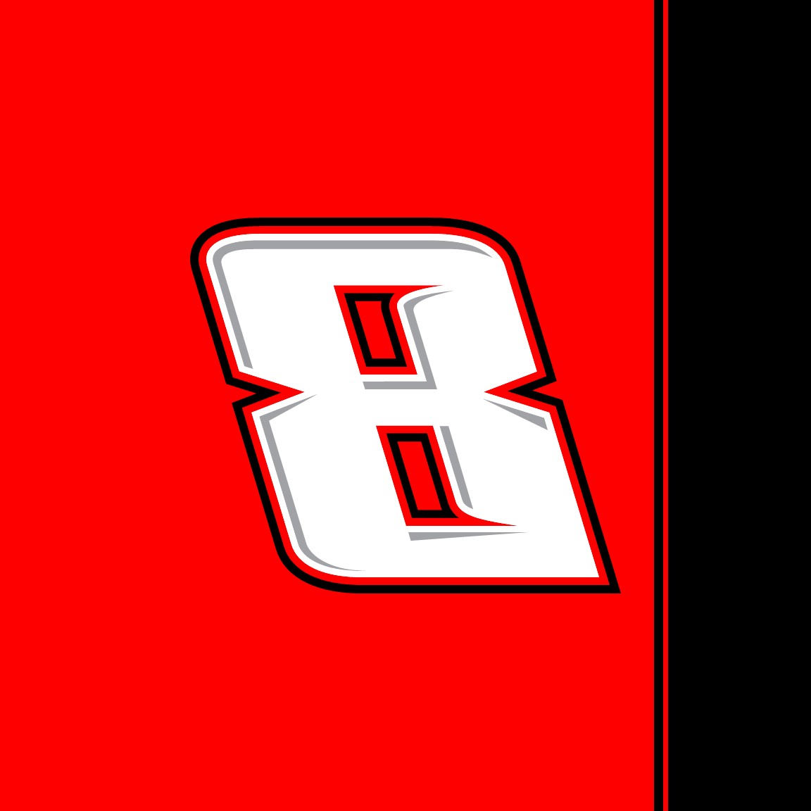 2024 KYLE BUSCH CUP NUMBER CARDS