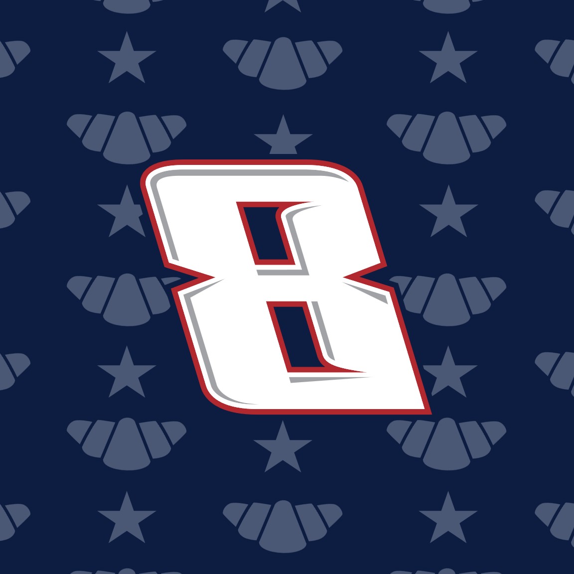 2024 KYLE BUSCH CUP NUMBER CARDS