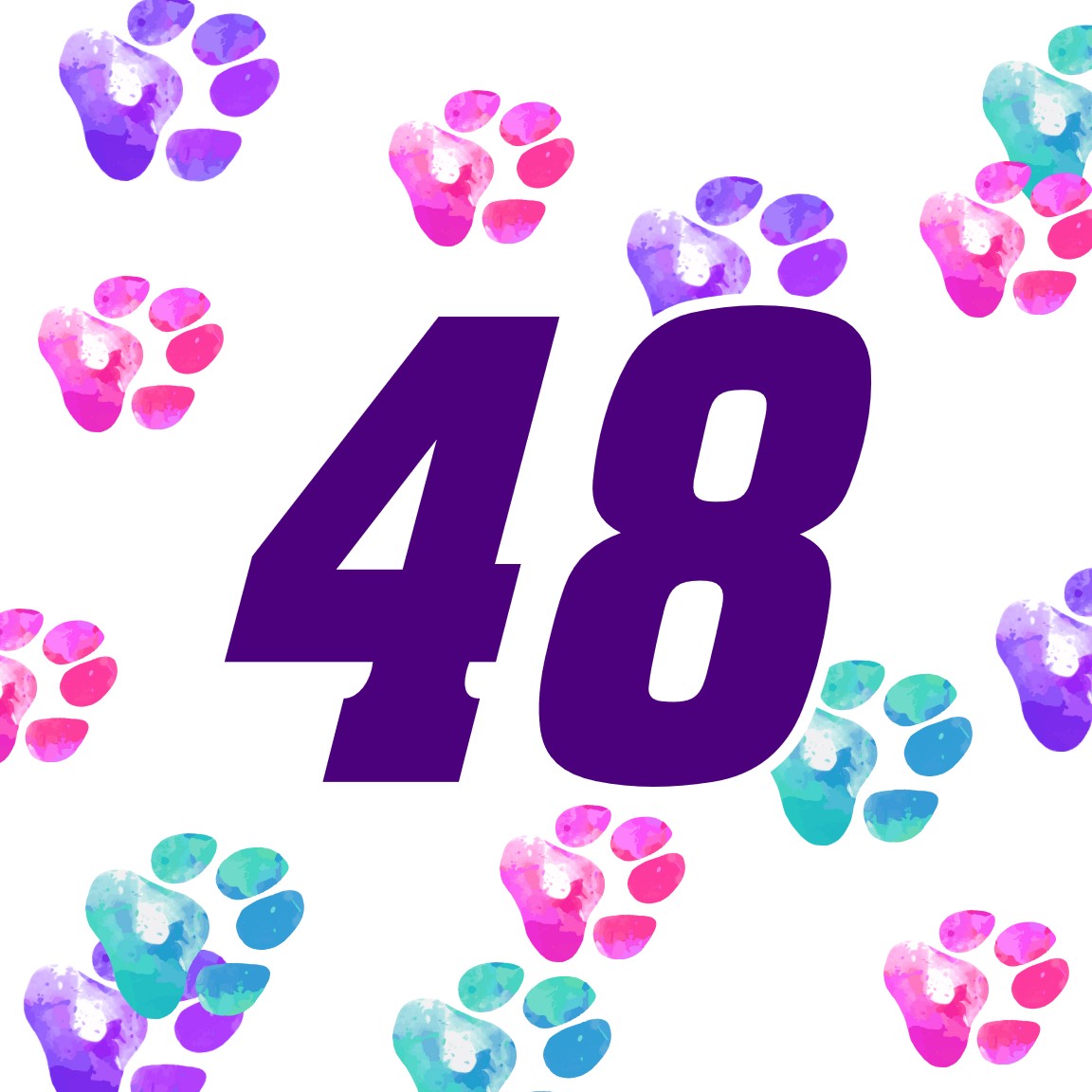 2024 ALEX BOWMAN CUP NUMBER CARDS