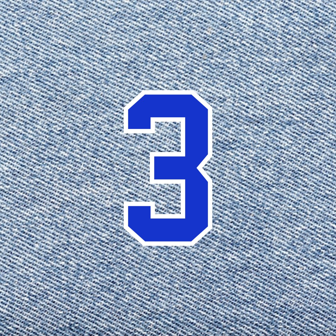 2024 DANIEL RICCIARDO FORMULA 1 NUMBER CARDS