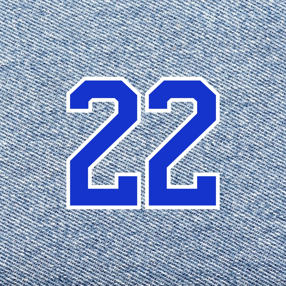 2024 YUKI TSUNODA FORMULA 1 NUMBER CARDS