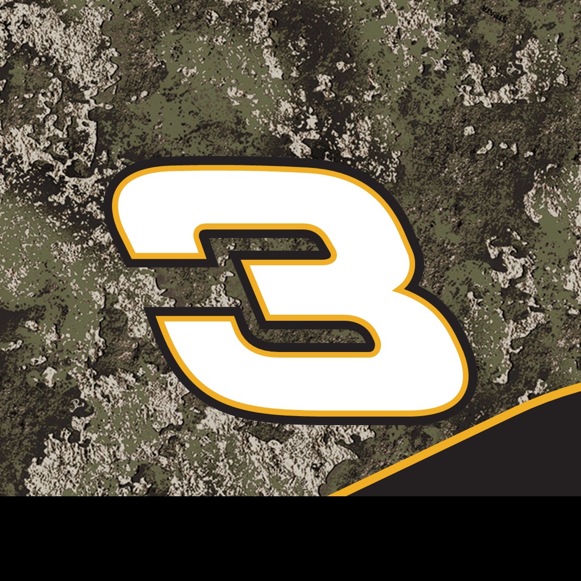 2025 AUSTIN DILLON CUP NUMBER CARDS