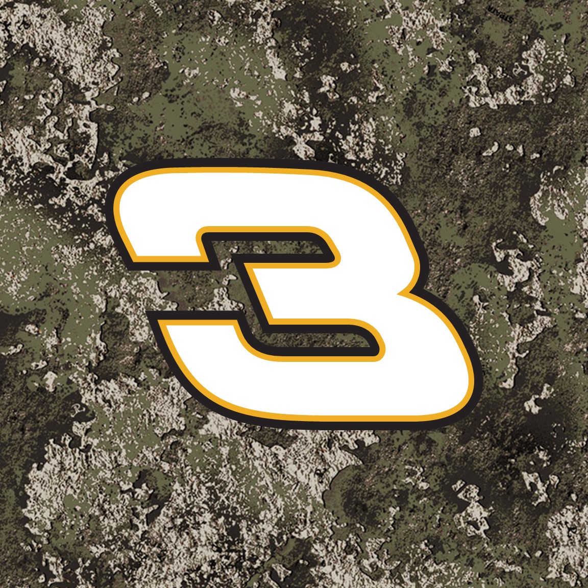 2025 AUSTIN DILLON CUP NUMBER CARDS