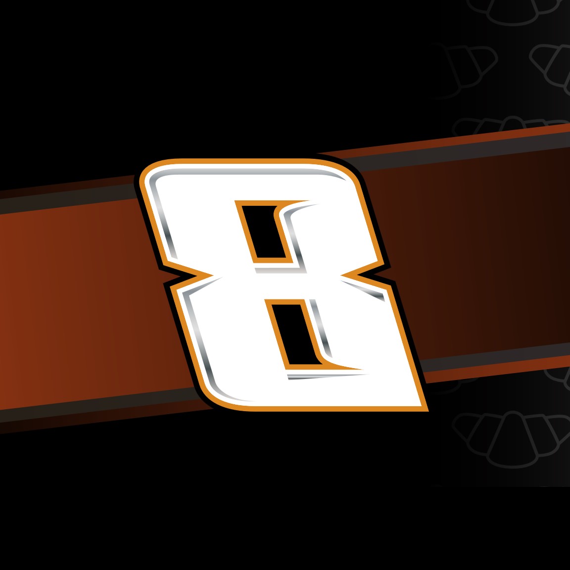 2025 KYLE BUSCH CUP NUMBER CARDS