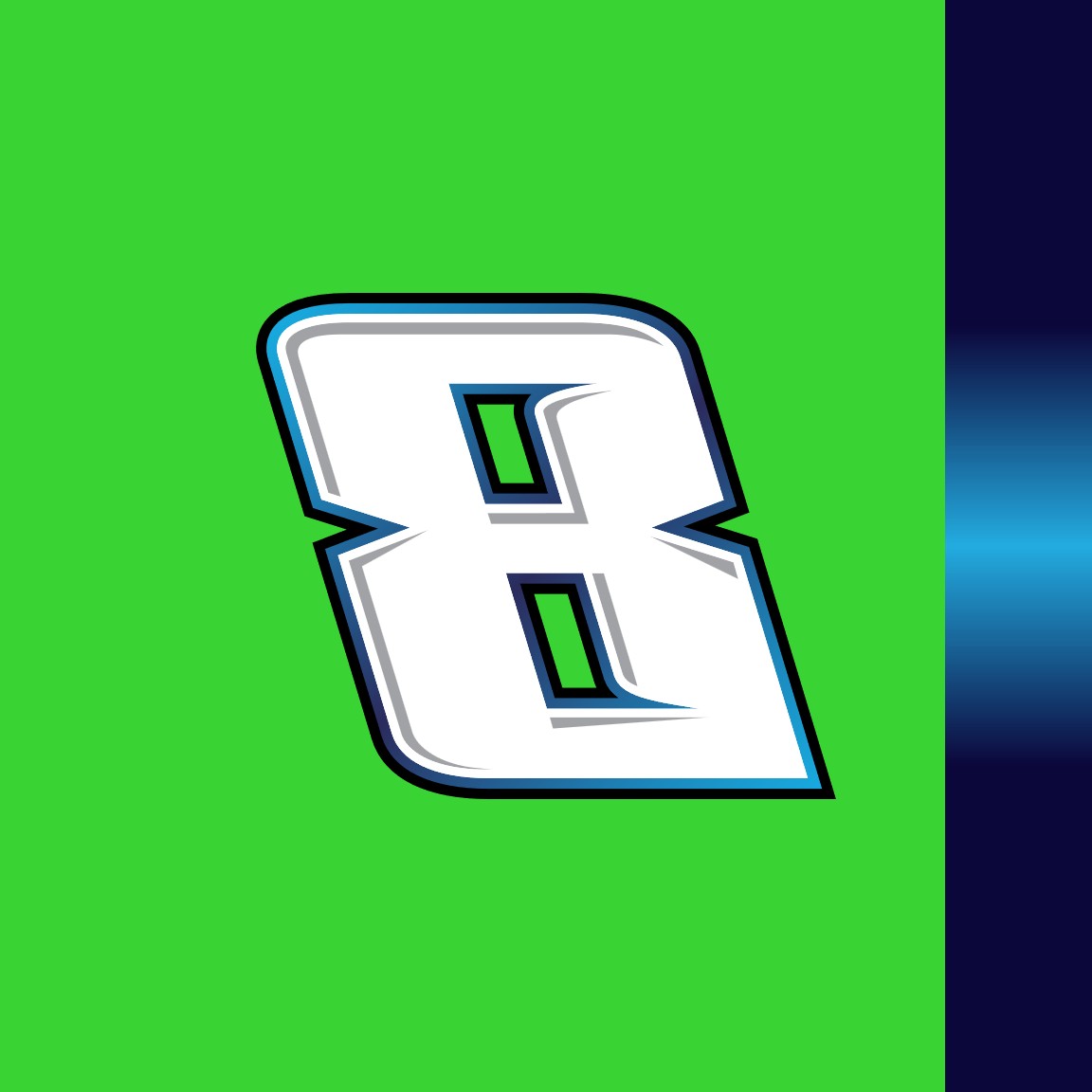 2025 KYLE BUSCH CUP NUMBER CARDS