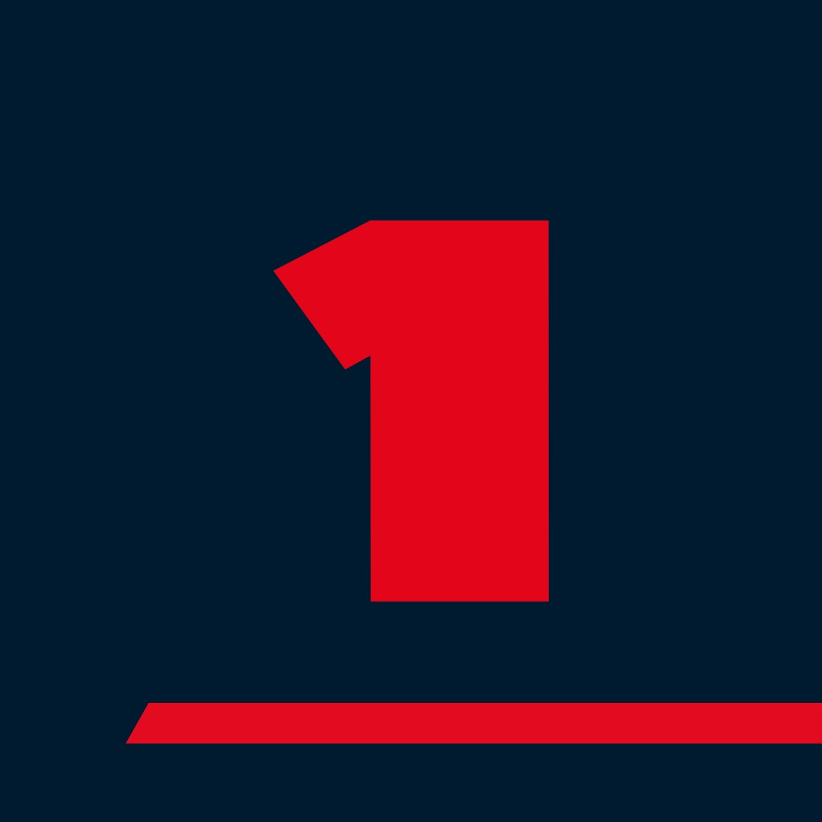 2025 MAX VERSTAPPEN FORMULA 1 NUMBER CARDS