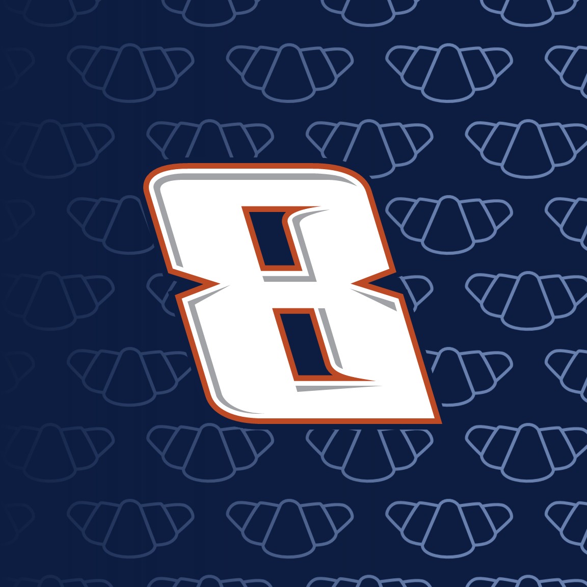 2026 KYLE BUSCH CUP NUMBER CARDS